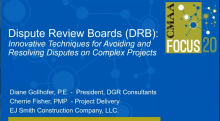 Dispute Review Boards: Innovative Techniques for Avoiding and Resolving ...